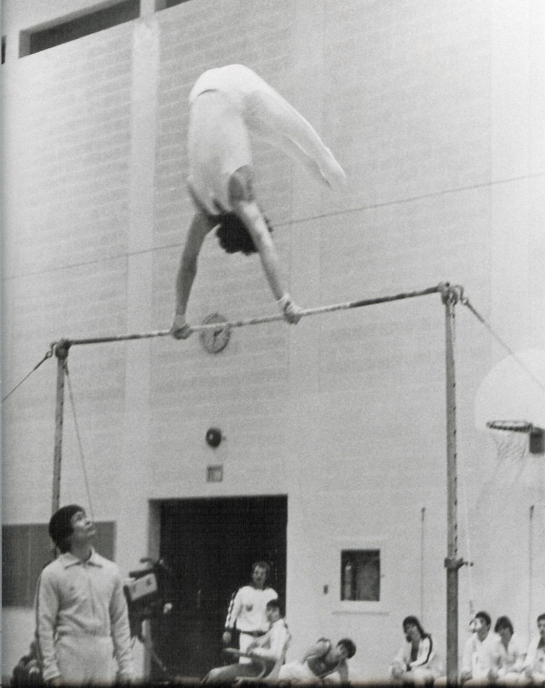Steve-Mclean-Inverts - The York University Magazine : The York ...